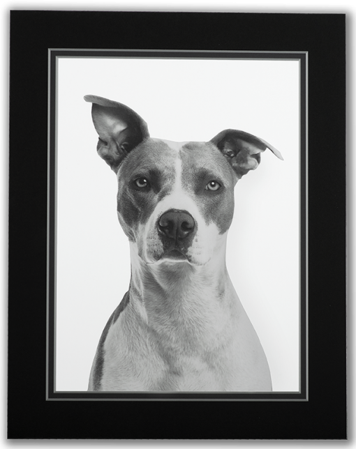 Professional Photo Printing Services & Products | Technicare Photo Lab